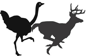 Measure Practice - MathBitsNotebook (Jr)